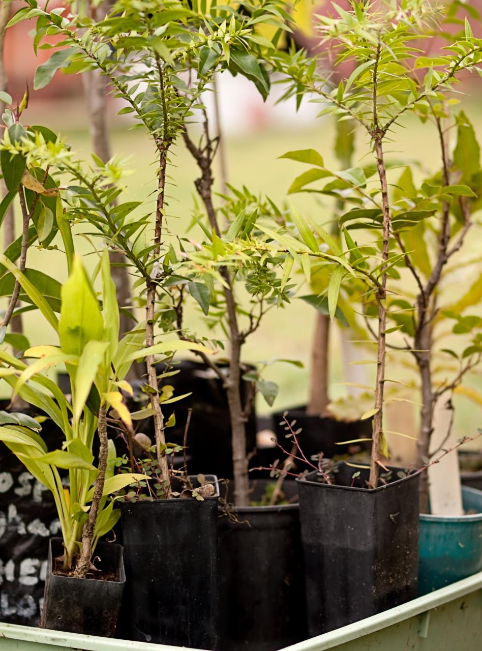 Home » Shire of Chittering